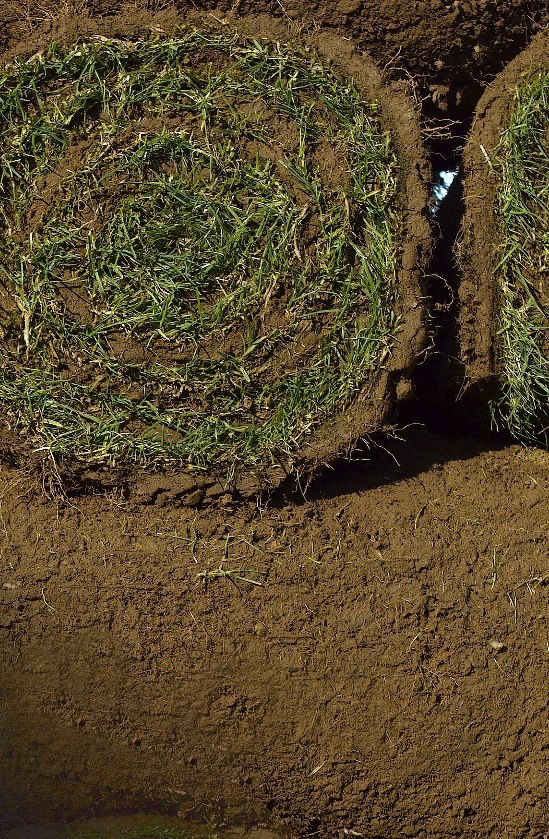 Julian Cassell's DIY Blog Grass and turf - HOW TO DIY – WHAT TO USE ...